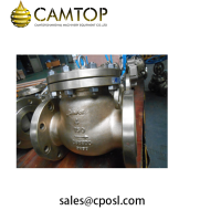 IBOP - CAMTOP OILFIELD TOOLS