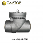 In lined flapper Check valve/ Dart Check Valve/ Top Entry Check Valve ...