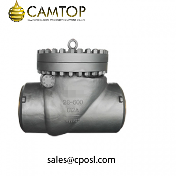 In lined flapper Check valve/ Dart Check Valve/ Top Entry Check Valve ...