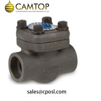 IBOP - CAMTOP-API 6A AND 16A PRODUCTOR FACTORY