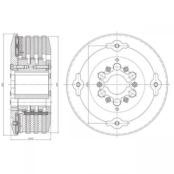 TPQ Push Plate Clutch - CAMTOP SHANGHAI MACHINERY EQUIPMENT CO.,LTD
