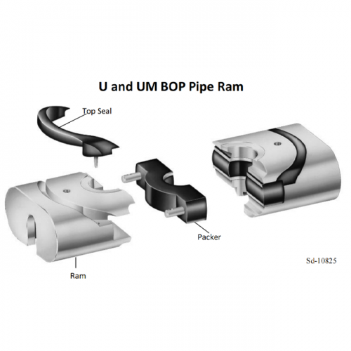 U AND UM BOP Pipe Rams(7-1/16''AND -11'') - CAMTOP SHANGHAI MACHINERY EQUIPMENT CO.,LTD